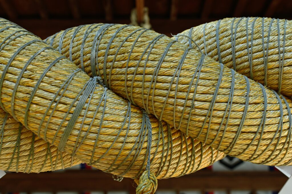 6 Must-Know Cable Rope Types and Their Versatile Uses – Stars of ...